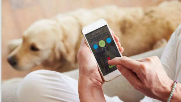 Make Your Pet Tech-Savvy with GPS Trackers and Health Monitoring ...