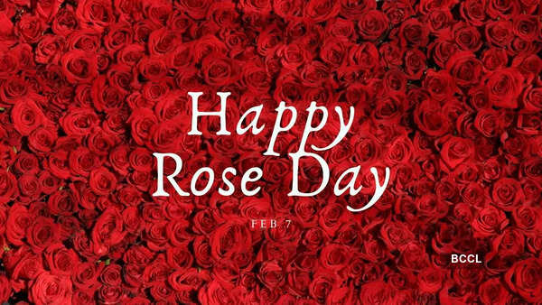 75+ Happy Rose Day Messages, Greetings, Wishes and Quotes for 2025 ...