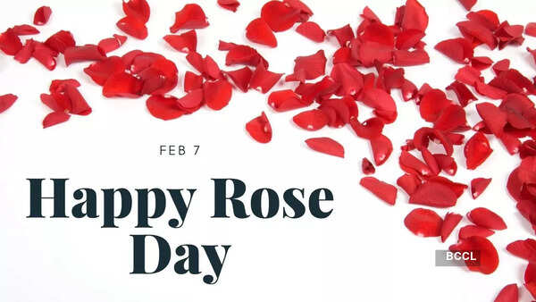 75+ Happy Rose Day Messages, Greetings, Wishes and Quotes for 2025 ...