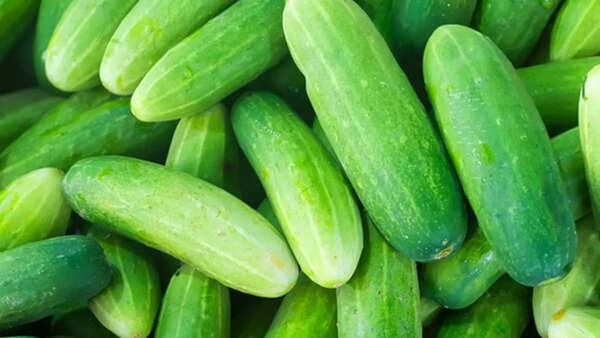 Kyuri to Kirby: 6 Cucumber varieties you need to know | - The Times of ...