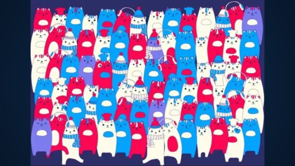 Optical Illusion: Can you spot the hidden Rabbit in under 5 seconds ...