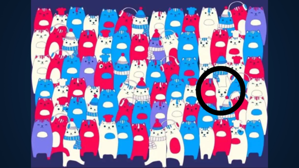 Optical Illusion: Can you spot the hidden Rabbit in under 5 seconds ...