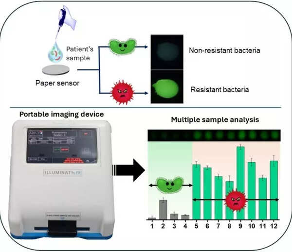 Rapid Test to Detect Antibiotic Resistance Developed - Indian News ...