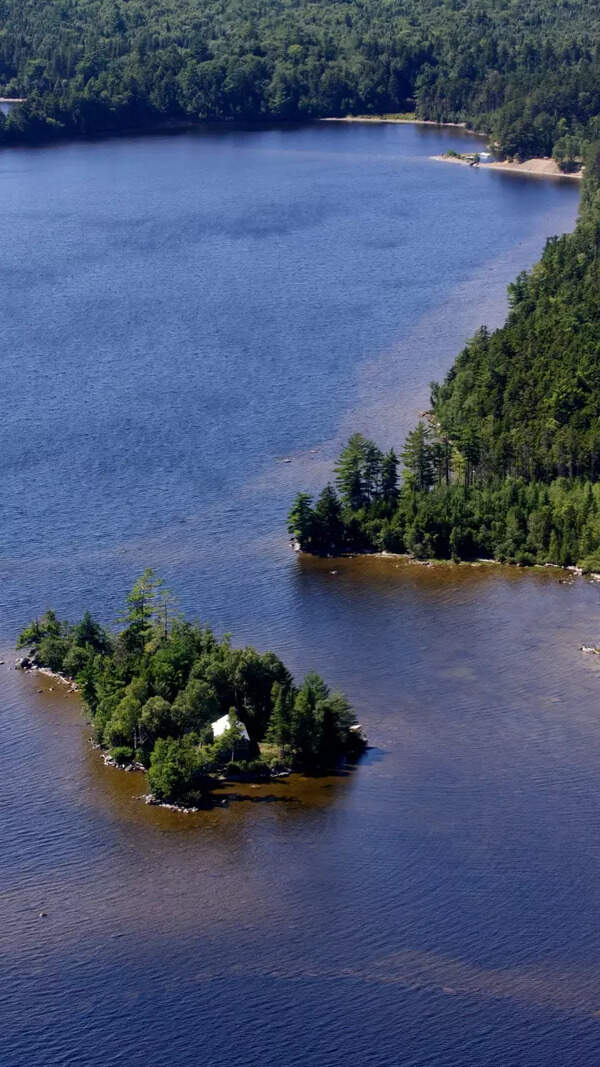 Go for a castor oil detox flush - Times of India