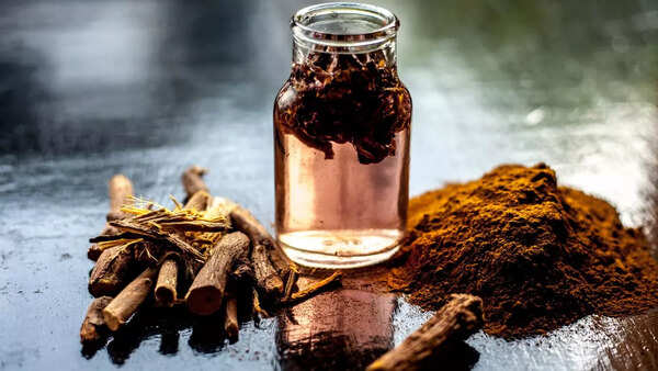 What is Revand Chini? Health benefits of this rare Ayurvedic herb ...