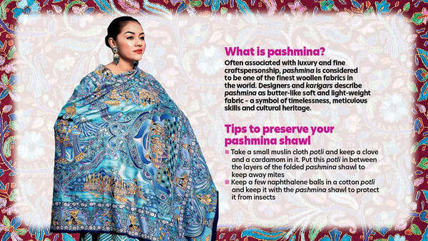 Pashmina: A Luxury Fabric Woven with Precision and Skill | - Times of India