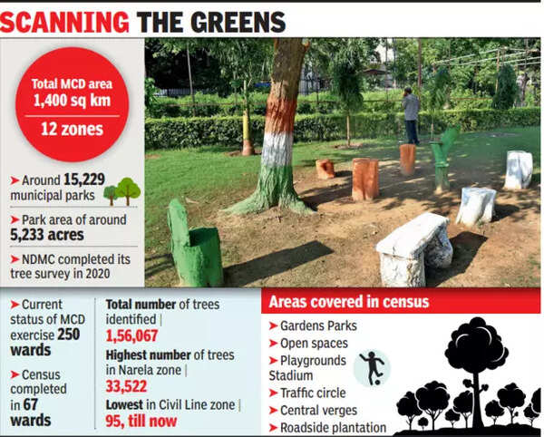 Delhi Tree Census: Only 27% of Wards Covered So Far, Mayor's Office ...