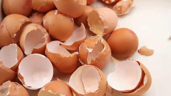 5 Brilliant Uses of Leftover Eggshells - Discover Creative Ways to ...