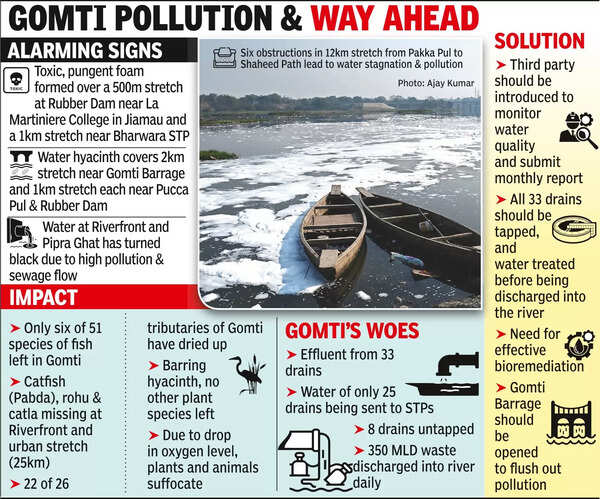 Polluted Gomti: Low Dissolved Oxygen Levels in Gomti River Raise Concerns About Environmental ...