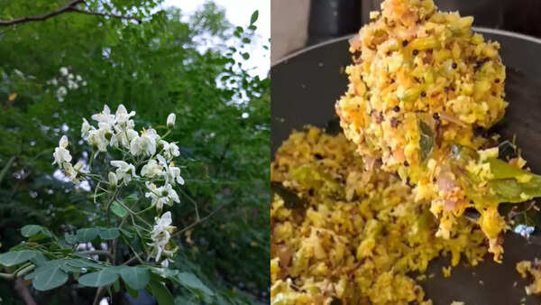 5 Reasons to Have Moringa Flower Bhaji in This Season and How to Make ...