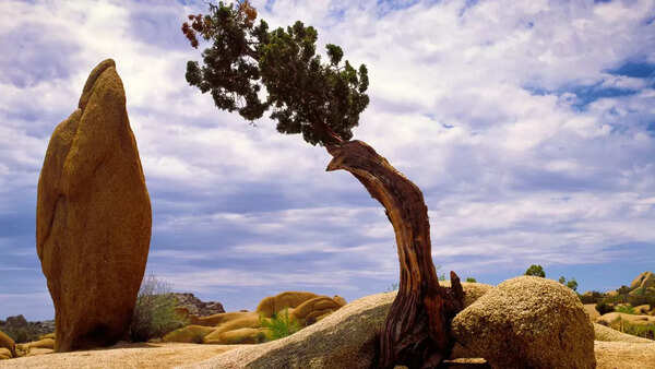 When Bhishma shared his wisdom on humility with Yudhishthir | - Times ...