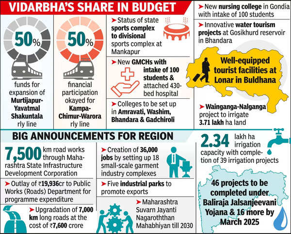 Budget Gives ₹100cr For Mihan: Budget Gives ₹100cr For Mihan, Four Gmchs For Vid | Nagpur News ...