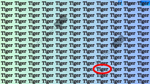 Optical Illusions Words Hidden The Neuroscience Of Optical Illusions,