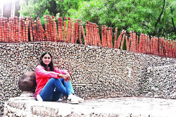 Filmmakers should bet on actors too, not just stars: Hasleen Kaur ...