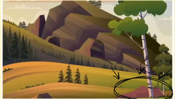 Optical Illusion: Almost 60 percent of people fail to spot the bear in ...