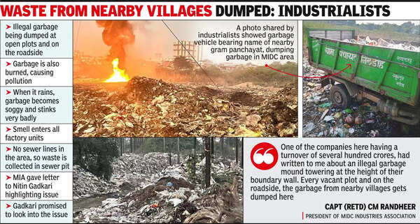 Garbage Dumping: Garbage Dumping and Burning: A Stink and Fire Hazard ...