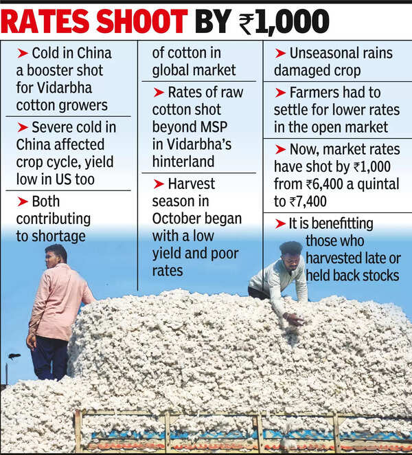 Cold Weather: Cold weather in China, low yield in US boost cotton ...