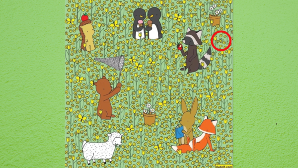 Optical Illusion: Can you find the bee in under 7 seconds? | - Times of ...