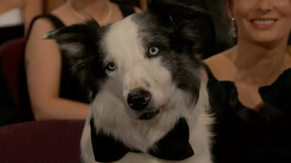 tim allen: 'The Santa Clauses' Trailer: Tim Allen and Ashlan Rowan ...