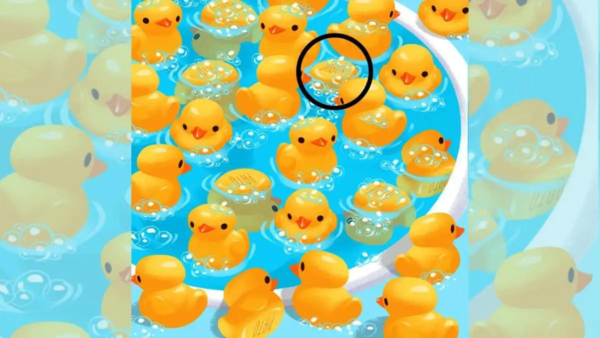 Optical Illusion Only People With Sharpest Eyes Can Spot The Soap