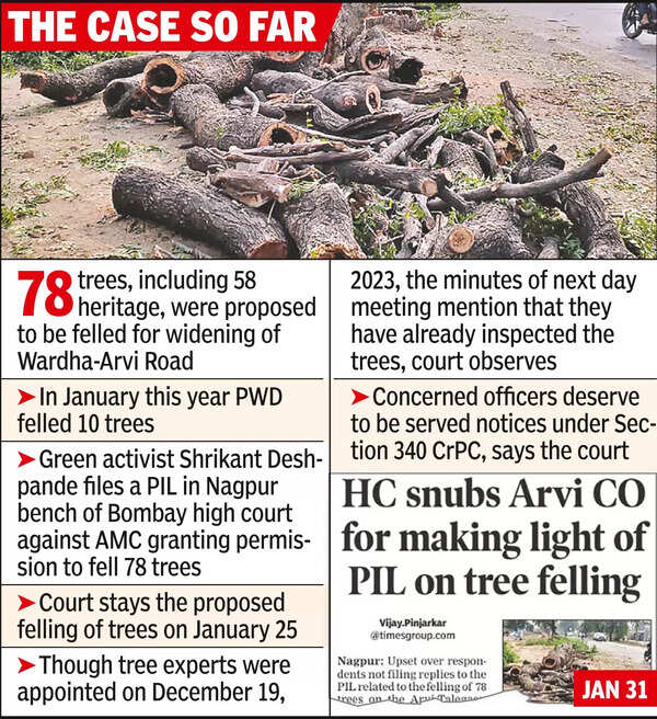 Trees Produce Less Oxygen: Controversy Over Big Trees' Oxygen ...