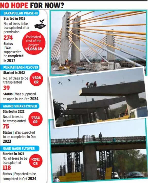 Road Infrastructure Projects: Delhi High Court Stay Delays 4 Road Projects: PWD vs Forest Dept ...