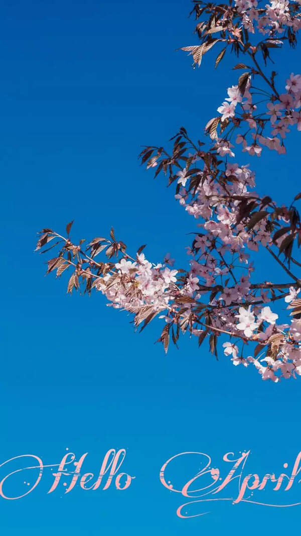 Hyderabad couple develops first ever Idli vending machine - Times of India