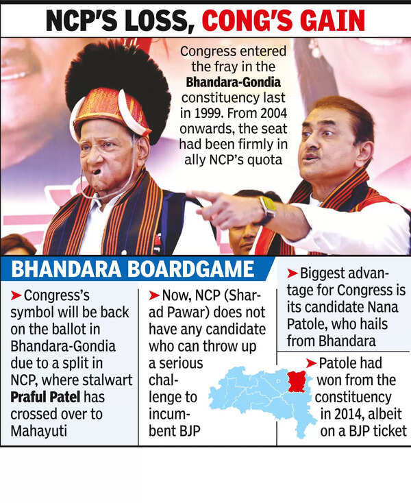 Congress: After 25 Yrs, ‘panja’ Back On Ballot In Bhandara-gondia ...