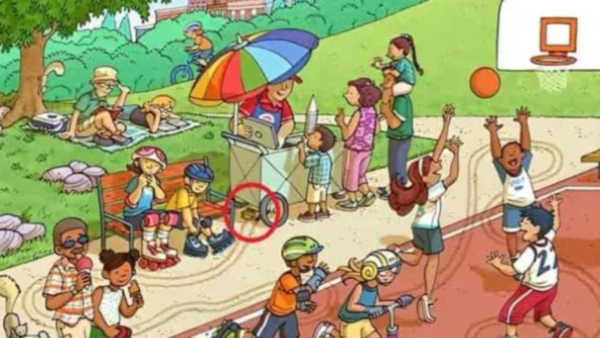 Spot the object challenge: Only people with hawk's eyes will be able to ...