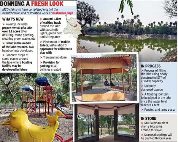 Roshanara Bagh: Return Of Life & Light Near For Mughal-era Roshanara ...