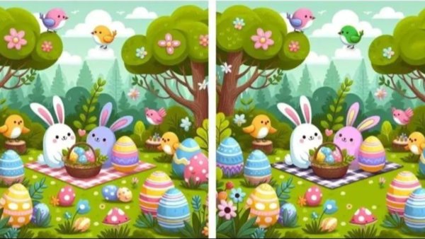 Optical illusion: Only a true observer can spot 5 differences in this ...