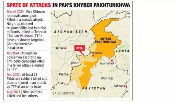 Why Pakistan’s tryst with terror is boomeranging - Times of India