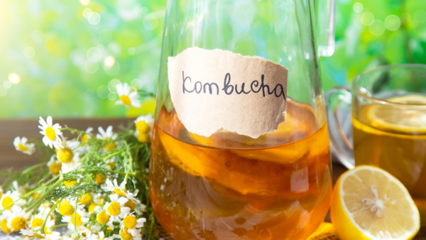 Weight Loss Kombucha Tea: Does drinking this tea mimic fasting and reduce fat? | - Times of India