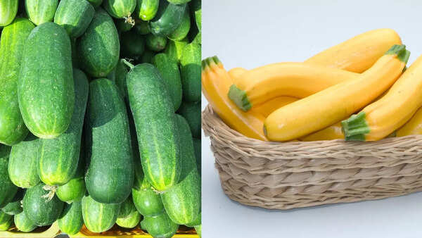 Lesser known differences between Cucumber and Zucchini - Times of India