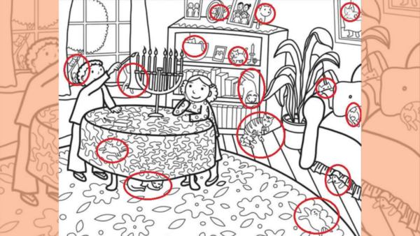 Optical Illusion: Can you spot 15 cats hiding in this living room ...