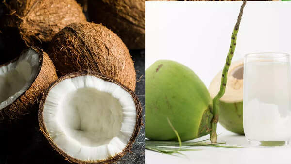Coconut vs Tender Coconut which is healthier? - The Times of India