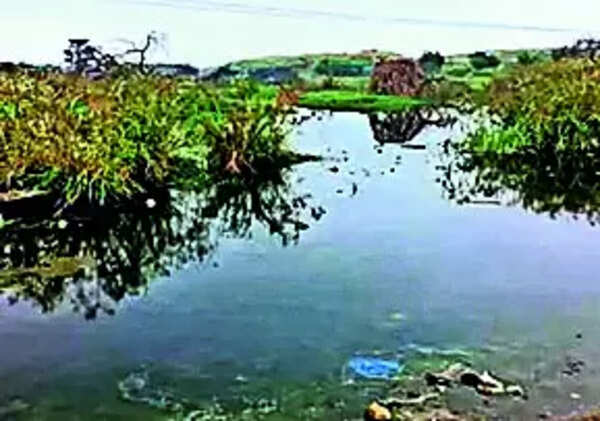Autonagar Pollution: Autonagar Pollution: Toi Campaign Spurs Govt To ...