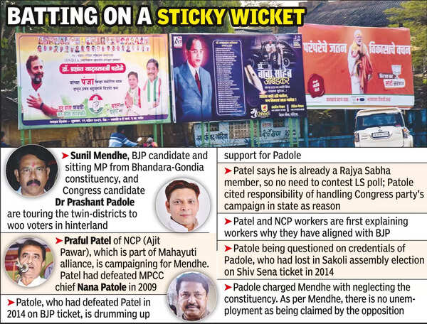 Election Campaign: Not In Fray, Yet Patel & Patole In Indirect Tussle ...