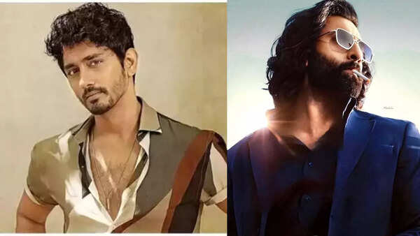 Chithha - Official Trailer