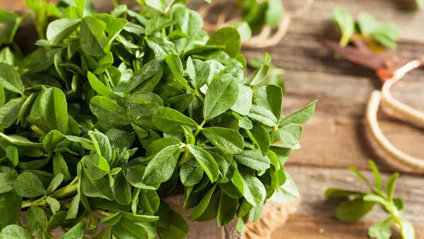 Difference between Methi and Kasuri Methi - Times of India