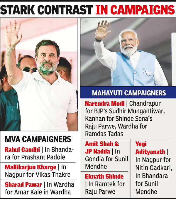 Campaign: Top Guns From Partners A Rare Sight In Mva Rallies | Nagpur ...