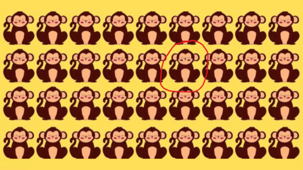 Optical Illusion: Only people with sharpest eyes can spot the odd ...