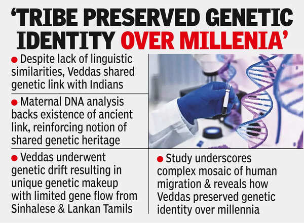 Vedda Tribe: Lanka’s Vedda Tribe Linked To Ethnic Indians: Ccmb Study ...