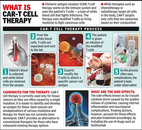 Cancer Therapy: Resilience Meets Novel Therapy To Beat Cancer ...