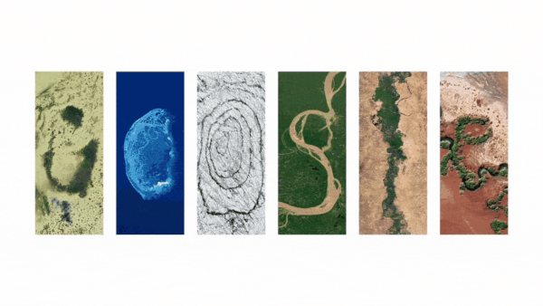 Earth Day 2024: Google's Earth Day Doodle underlines the urgency for ...