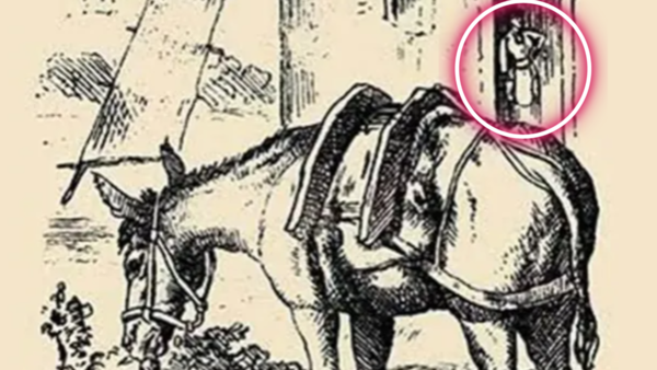 Brain teaser: Spot the rider of this horse in 8 seconds - Times of India