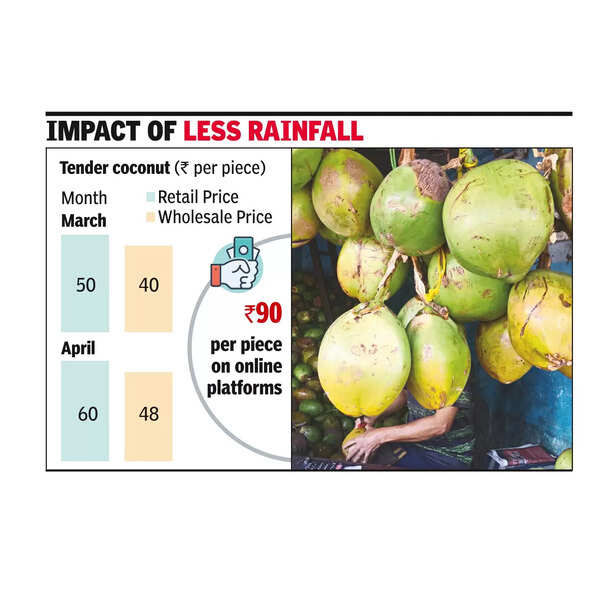 Tender Coconuts: Low Supply Pushes Up Price Of Tender Coconuts | Pune ...