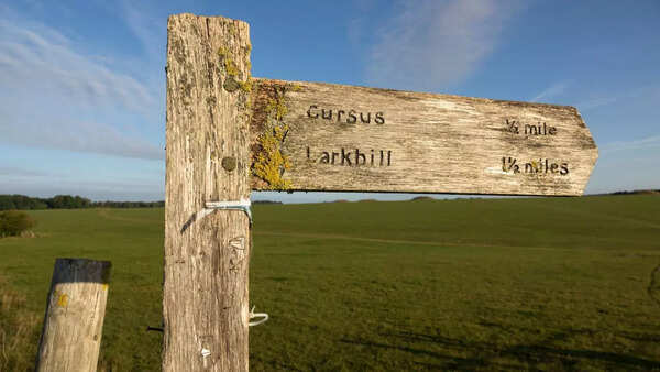 Archaeologists discover monuments that may have been 'pathways for the ...