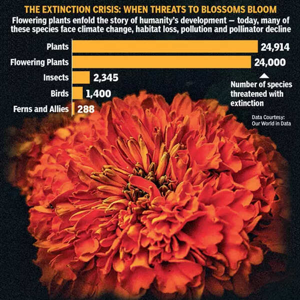 ‘There are 3,50,000 types of flowers — the same blossom offers varied ...