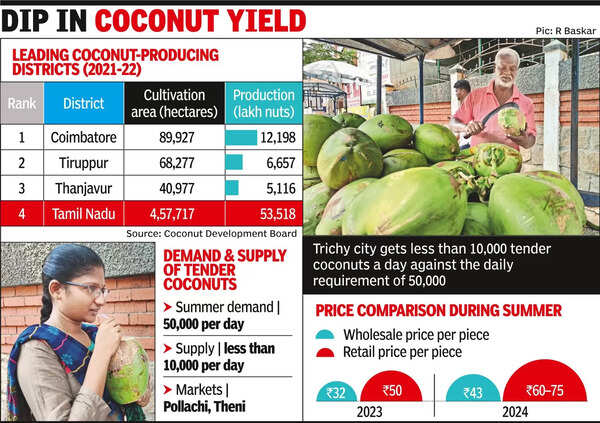Tender Coconut: Tender Coconut Turns Dearer As Shortage Pushes Up ...